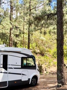 Wilderness RV Park – Wilderness RV Park